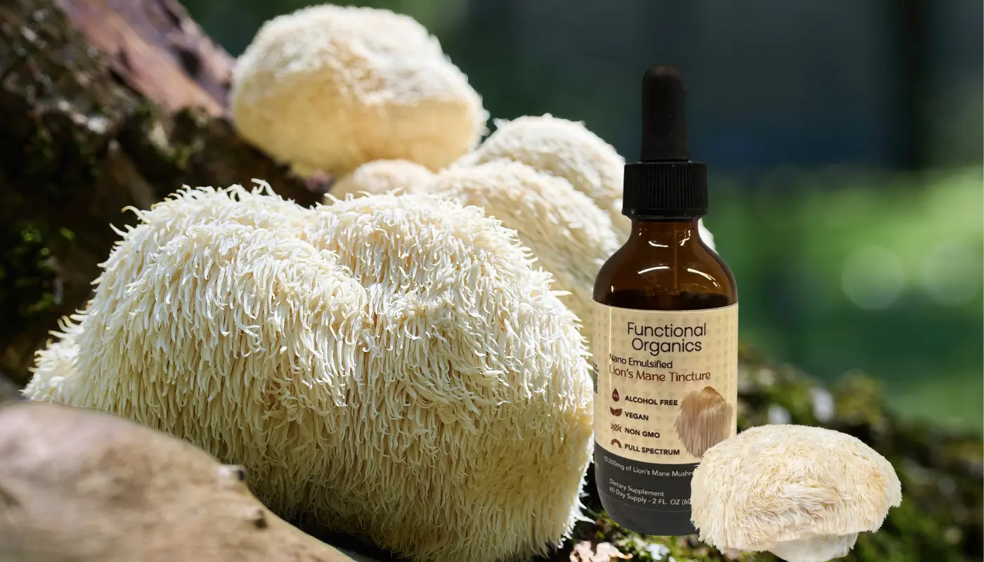 Best Lion's Mane Tincture: Tips for Health Benefits