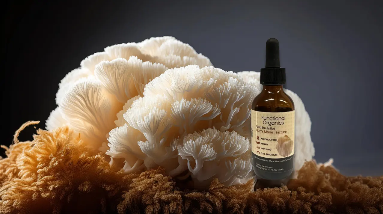 Lion's Mane Tincture Benefits for your wellness 2026